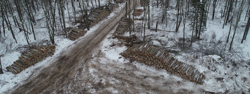 EXT XFO.0084 MN Forest Management Guidelines Training | University of ...